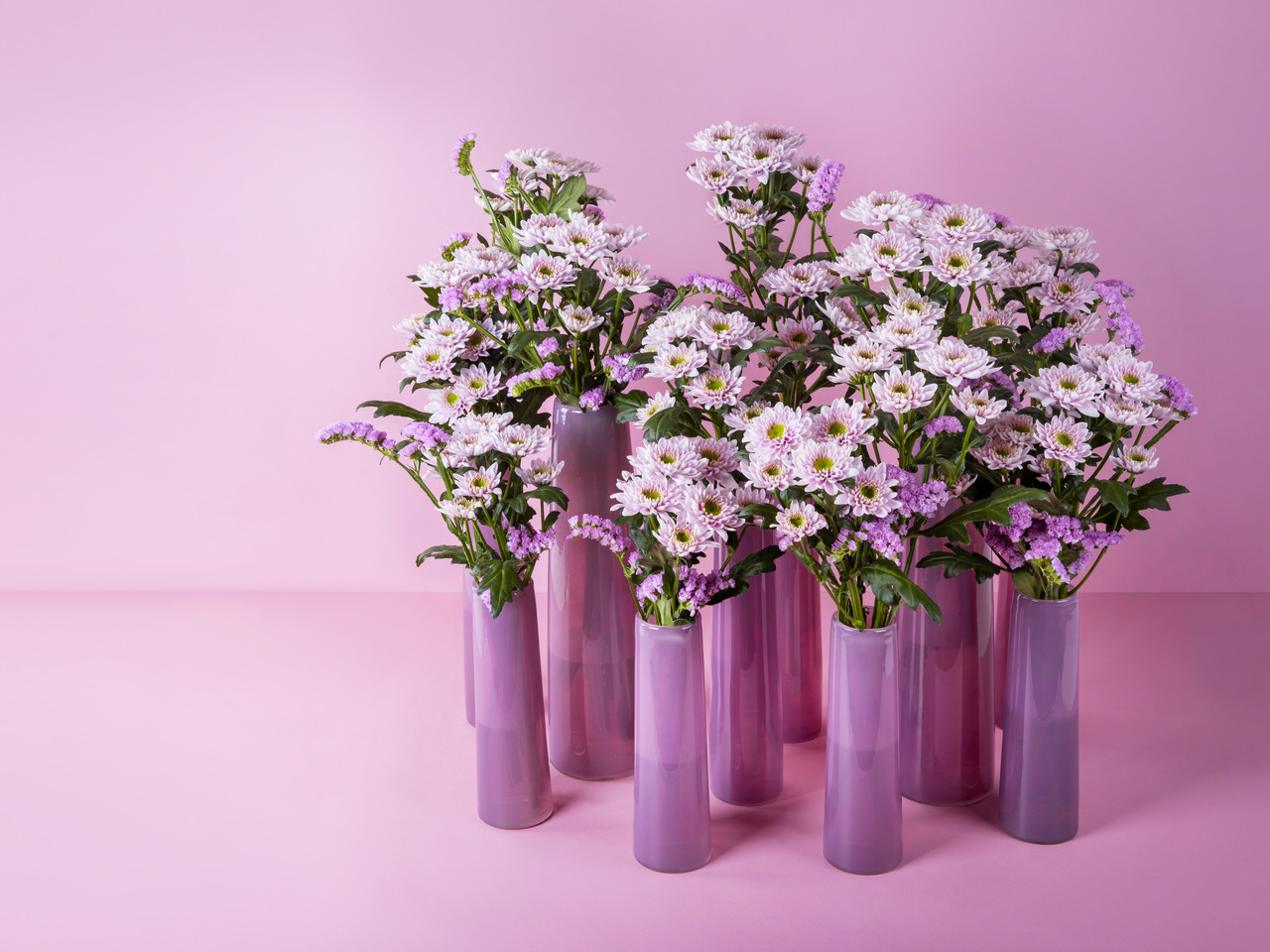 Commander Pink, a blooming force