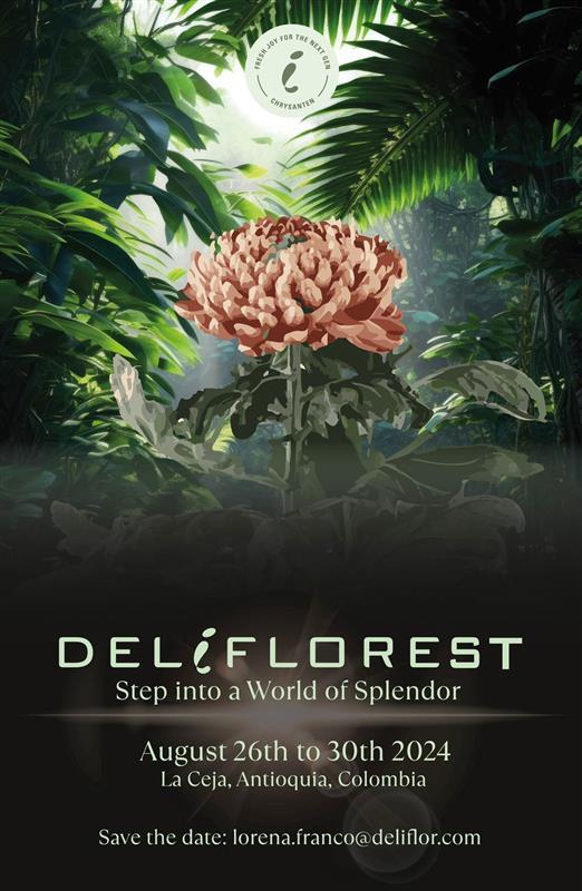 Delishow Colombia 2024